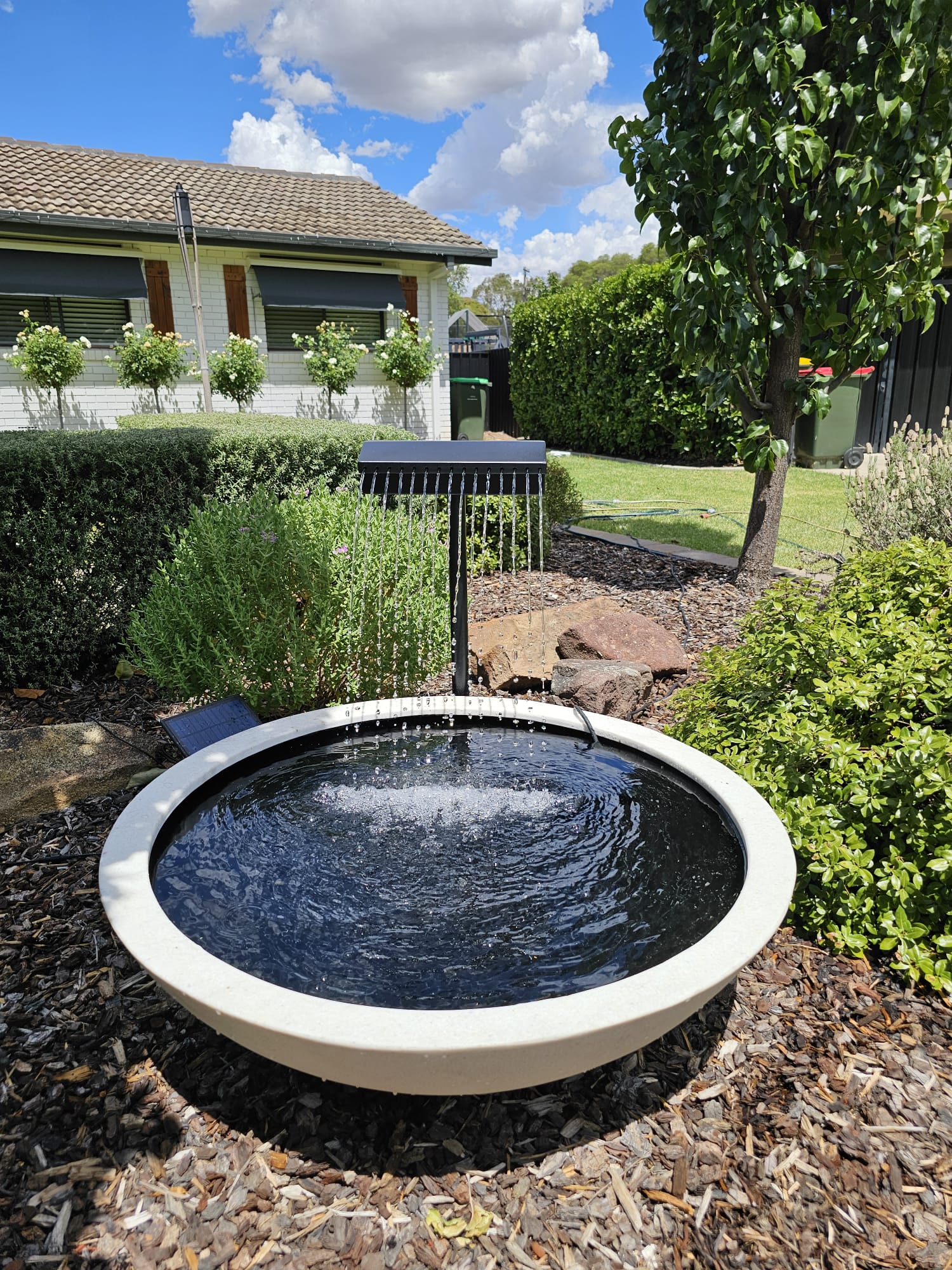 Open media 4 in modal