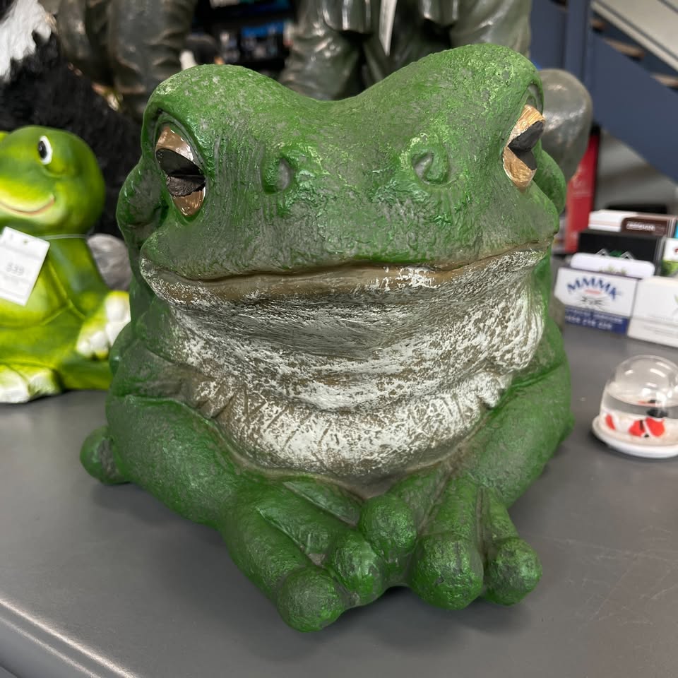 Jumbo Green Rainforest Frog